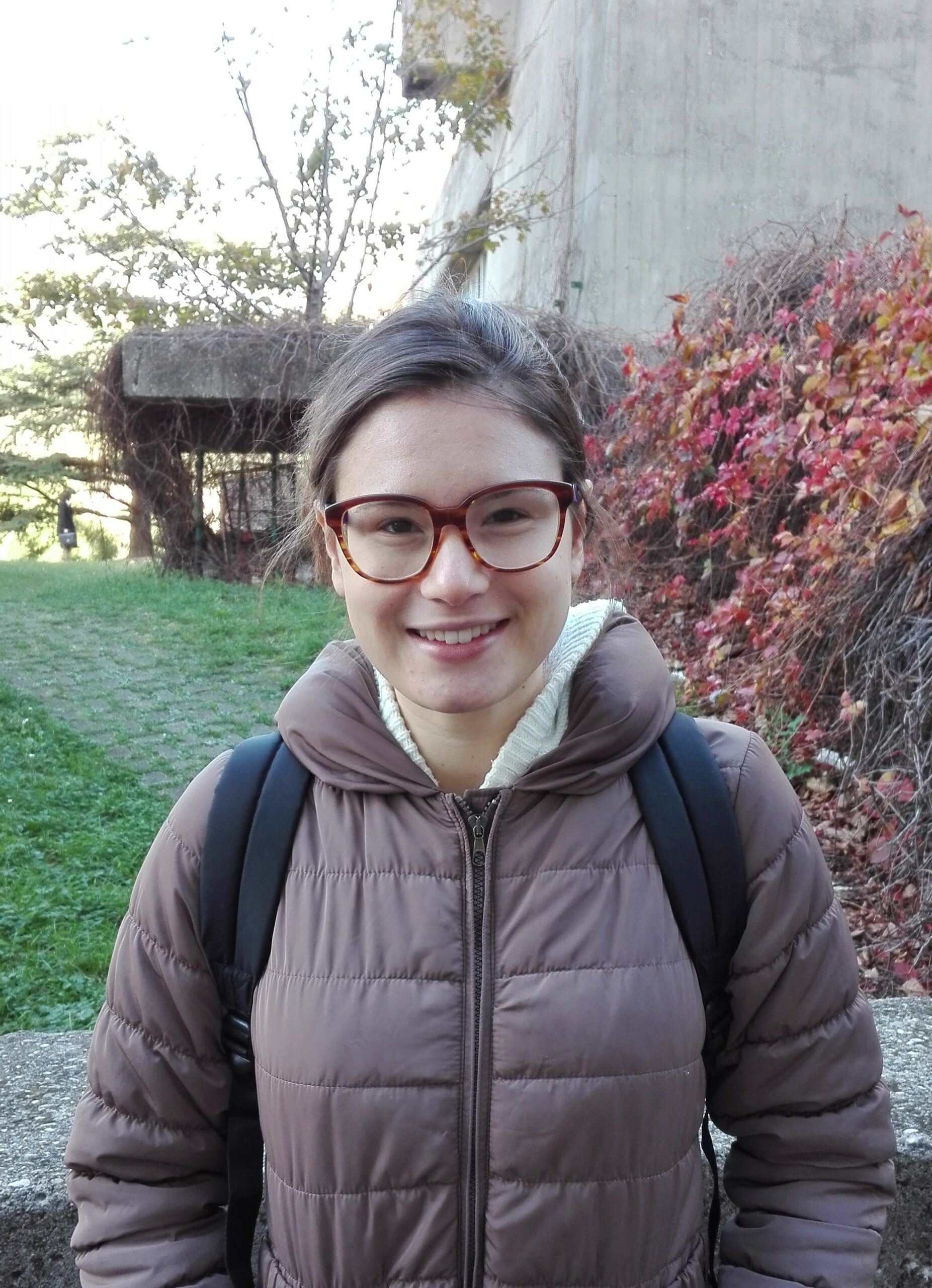 Alice Bellettini - Institute of Multiscale Simulation of Particulate ...